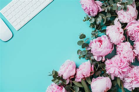 흰색 컴퓨터 키보드 마우스 모란 꽃 파란색 배경에 유칼립투스 꽃 맨 위 보기입니다 공간을 복사합니다 플랫 레이 여성스러운 작업