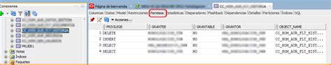 Oracle Ddl Generator Doesnt Include The Grants · Issue 7031