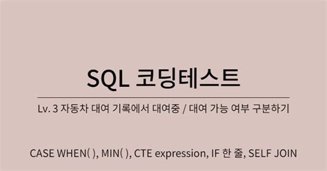 Sql 코딩테스트 자동차 대여 기록에서 대여중 대여 가능 여부 구분하기