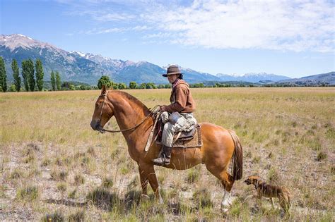 Gaucho on horseback, Patagonia, … – Bild kaufen – 71057892 lookphotos
