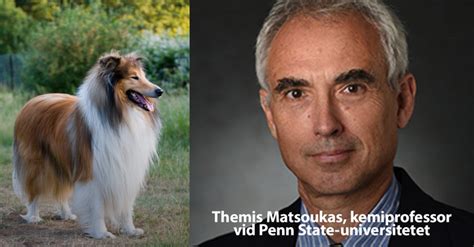 En Prisbelönt Professor I Usa Har Sex Med Sin Hund För Att Varva Ner