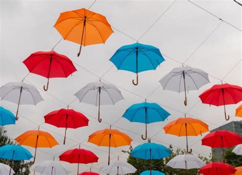 Business Management Erp Transformation Specialists Oracle Partner