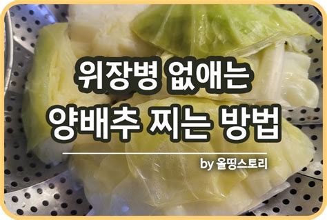 양배추찜 양배추찌는시간 양배추데치는법 삶는방법 양념장