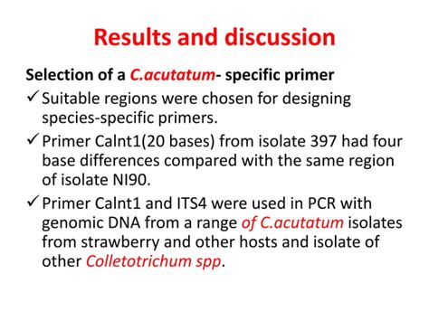Pcr Based Detection Of Colletotrichum Acutatum Pptx