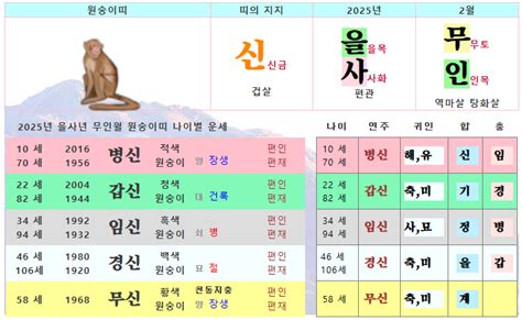 내일을 위해 2월 원숭이띠 운세 2025년 2월 을사년 무인월 띠별 연령별 사주 운세보기