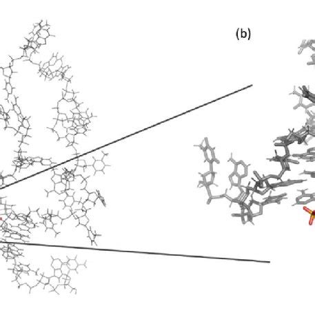 A Example Initial Configuration For Analysis Of UTP Binding To Download Scientific Diagram