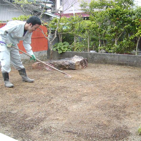 【楽天市場】【ふるさと納税】【選べる枚数】玉竜 タマリュウ たまりゅう2枚／4枚／6枚／30枚／60枚／90枚／120枚 植物 プラント 芝生