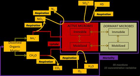 Schematic Representation Of The Simulated Biochemical Reaction Network Download Scientific Diagram