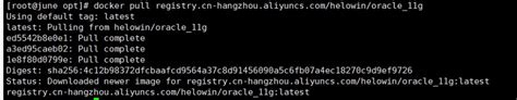 Docker Jzm