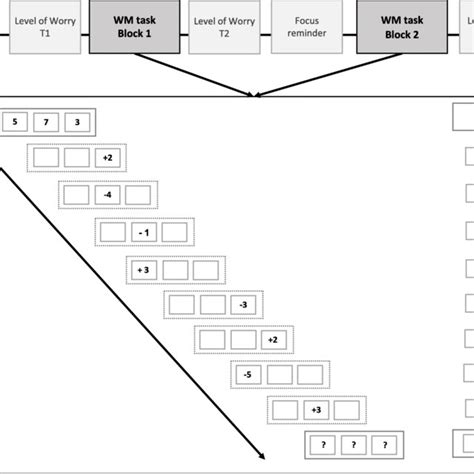 details of experimental procedure the example shows a trial of the