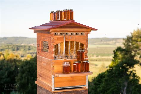 Flow Hive Wins Major Copycat Battle Australian Manufacturing Forum
