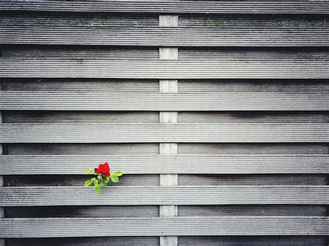 Premium Photo Low Angle View Of Closed Shutter