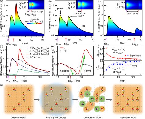 Perturbation Driven Echo Like Superfluorescence In Perovskite Superlattices