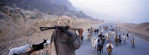 Goat Herder With Ak47 Over Shoulder License Image 13876699 Lookphotos
