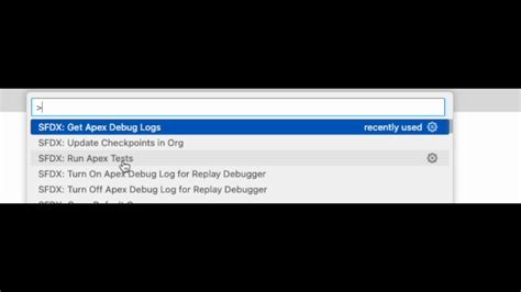 Master Apex Replay Debugger How To Streamline Debugging In Salesforce