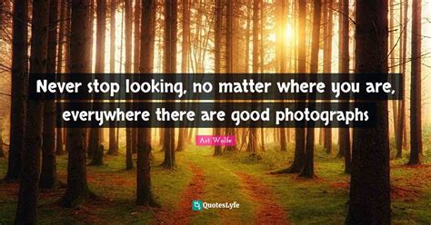Never Stop Looking No Matter Where You Are Everywhere There Are Good Quote By Art Wolfe