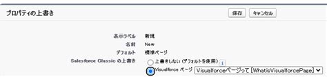 Salesforce の Apex と Visualforce の開発で何ができるんだっけ？ Salesforce Qiita