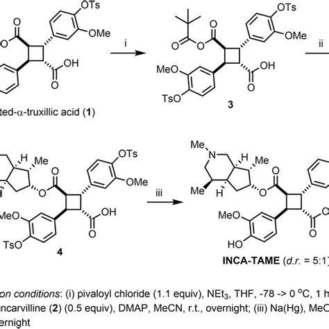 Synthesis Of Inca Tame Download Scientific Diagram