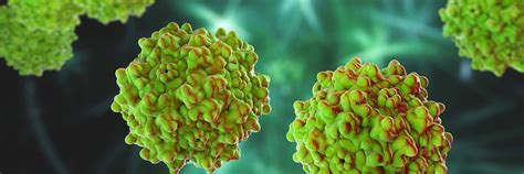 Aav Vectors Challenges And Solutions For Gene Therapy Manufacturing Revvity