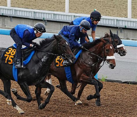 ウッドチップコース、3頭併せで追い切るアロンズロッド（中）（撮影・郡司修） スポニチ Sponichi Annex ギャンブル