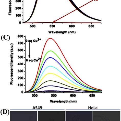 A The Structure Of Sensor Nap 7 And Its 1 2 Complex Formation With Download Scientific