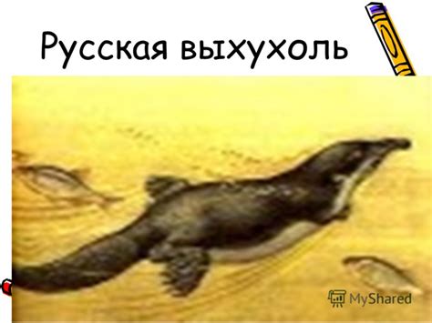 Презентация на тему Животные занесённые в Красную книгу Животные занесённые в Красную книгу