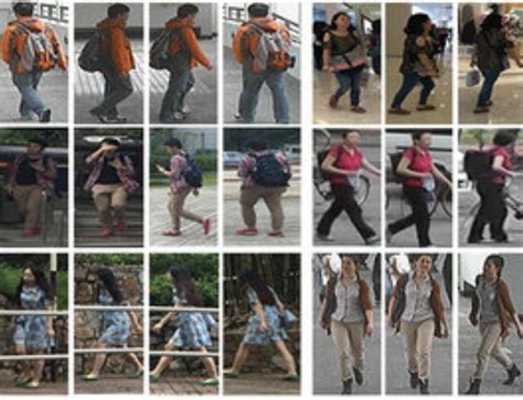 Cuhk Pedes Dataset Papers With Code