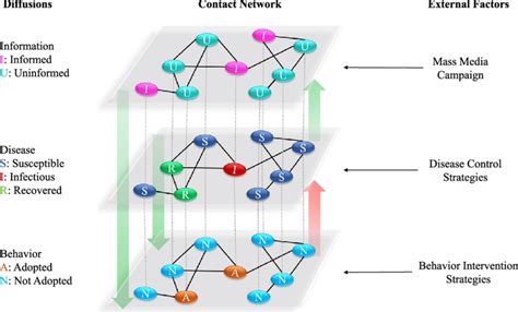 A Multilayer Triple Diffusion Network Adapted From 75 The Layers