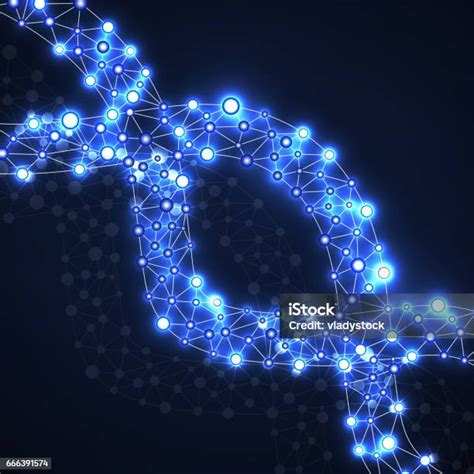 추상 Dna 나선 분자 구조 0명에 대한 스톡 벡터 아트 및 기타 이미지 0명 Dna 개성 개념 Istock