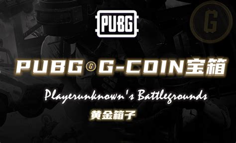 Pubg 金色g币宝箱绝地求生cdk91cdkey
