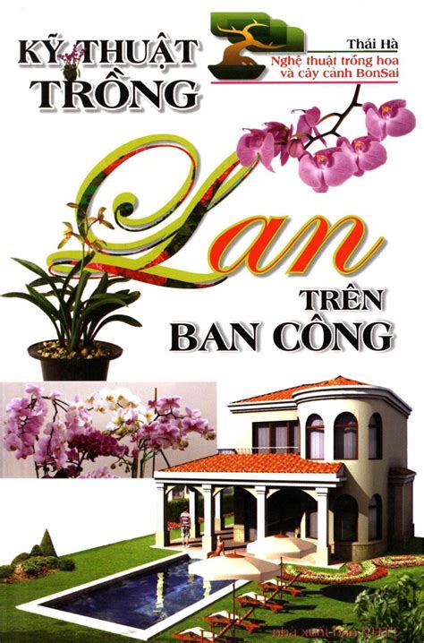 Kỹ Thuật Cơ Bản Trồng Và Chăm Sóc Hoa Lan