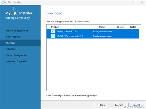 mysql和navicat下载、安装及使用详细教程 csdn博客
