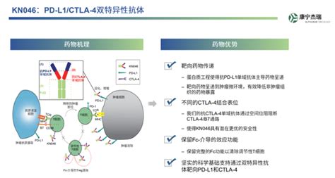 医药魔方 康宁杰瑞的biotech风范 知乎