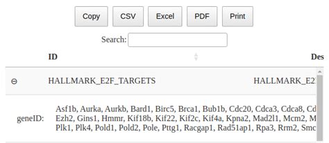 R Using The HTML Code Displays Literally On My DT Stack Overflow