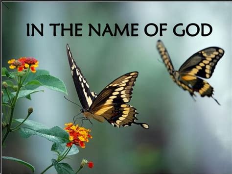 07 The Deciduous Teeth Dentition Ppt