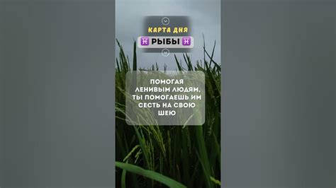 Рыбы ♓️ Ваше сердце прекрасно💖присмотритесь к своему окружению 🌿Карта