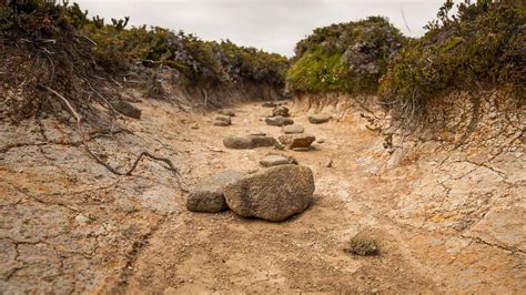 Flash Droughts Are Getting Flashier Whowhatwhy