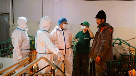 Э Батсайхан Хүнсний хувьсгалын хүрээнд гахайн аж ахуйн салбарыг орхигдуулалгүй дэмжсэнд