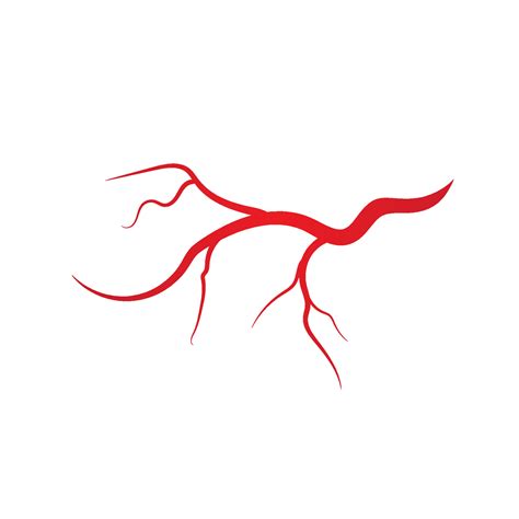 Human Veins And Arteries Illustration 13636801 Vector Art At Vecteezy