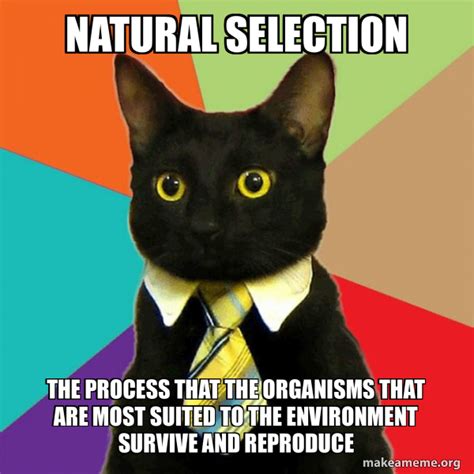 Natural Selection The Process That The Organisms That Are Most Suited