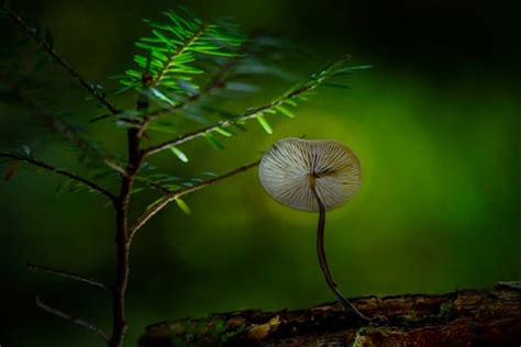 Addressing Mysql Log File Growth And Management Moments Log