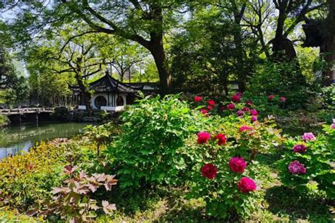 2022苏州拙政园门票预约指南 附门票价格及优惠政策旅泊网