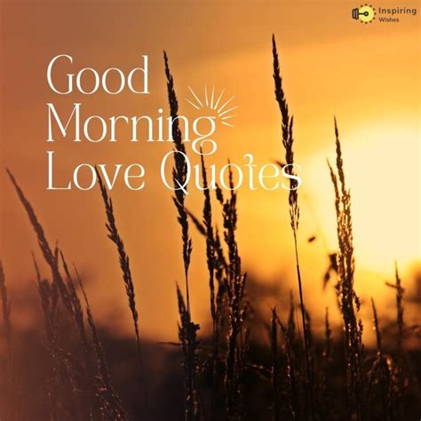 Best Morning Love Quotes That Can Set A Positive Tone For Your Day ⋆