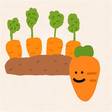 당근이 우리 몸에 미치는 좋은 점 효능