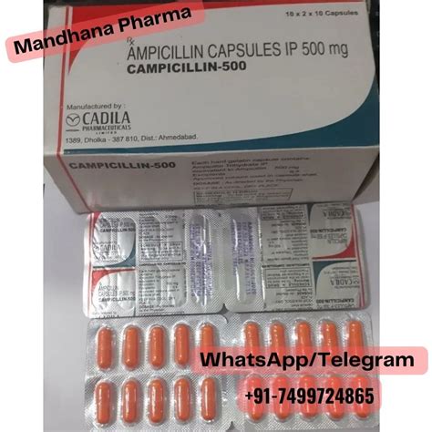 Ampicillin Capsules Ip 250 Mg At Rs 41stripe In Nagpur Id 2851549154912