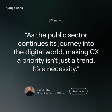 Flying Bisons On Linkedin Publicplatforms Egovernment Cx Blogpost