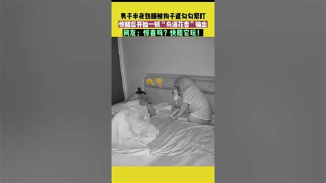 男子半夜熟睡被狗子直勾勾紧盯，惊醒后开始一顿“鸟语花香”输出，网友：惊喜吗？快陪它玩！ 萌宠 宠物的迷惑行为 宠哈哈 Youtube