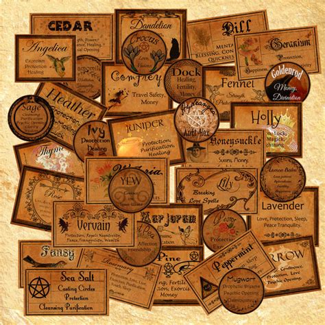 Herbs Correspondences Sacred Wicca