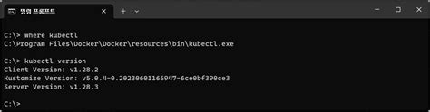 minikube kubectl 사용하기 Kubernetes and beyond