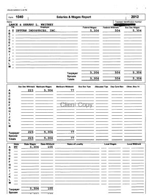 Fillable Online Salaries Wages Report Fax Email Print PdfFiller